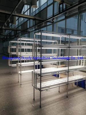 Cina La piantatura verticale a più strati Nft della serra convoglia il sistema di coltura idroponica in vendita