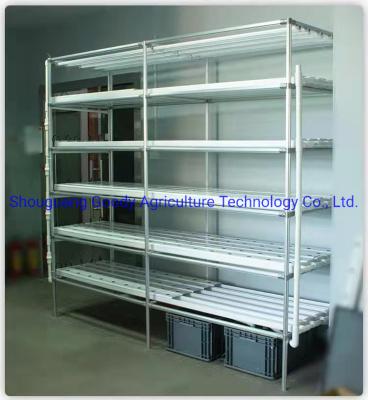 China 022 New Hydroponic Lettuce Strawberry Rack with PVC Pipe System, Supports Customization. for sale