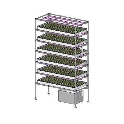 Cina Tray Rack per la piantina di verdure idroponica nell'idrocoltura sostiene la personalizzazione. in vendita