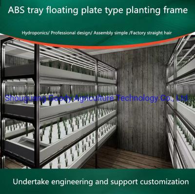 Cina Multi letto a acqua di strato di coltivazione del sistema verticale Soilless di coltura idroponica che pianta scaffale in vendita