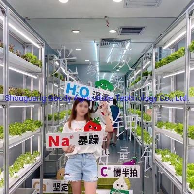 Cina Sistema idroponico verticale dell'interno di Manica di Nft per gli ortaggi freschi in vendita