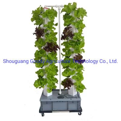 Cina Piantatrice idroponica automatica della serra della famiglia della torre del giardino di Aeroponic dello scaffale della colonna della torre verticale di coltivazione in vendita