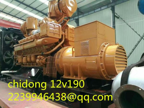 Quality G6190ZLC-1 B6190ZLC JICHAI BRAND 200KW ship boat engine for sale