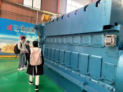Quality Looking for Zichai Engine Parts for Yanma 6N330 Hongfan Power Has Them for sale