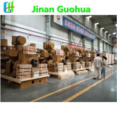 China G12V190zldt-2 Natural Gas Generator Parts Used in Sudan for sale