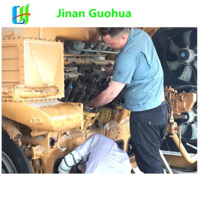 China G12V190zldt-2 Natural Gas Generator Parts Used in Sudan for sale