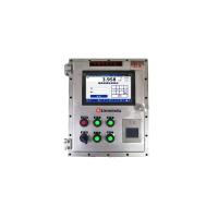 Quality 6000e Explosion Proof Weighing Floor Scales 800 × 480 Display 250mm for sale