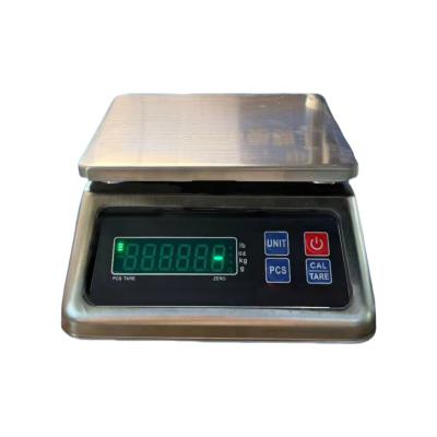 China Seafood Humid Environments High Resolution Counting Scale and Counting Weight Machine for Wet Food Processing for sale