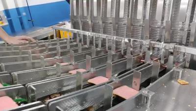 China Customized Automatic Biscuit Packing Machine Tray Loader On-Edge 120 Packs per Minute for sale
