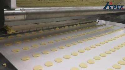 China Good Price Adjustable Machinery Automatic Fabrication Biscuit Moulding Machine for sale