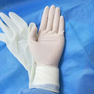 Cina Polvere chirurgica AQL liberi 1,5 dei guanti del lattice sterile medico con la sterilizzazione di EO in vendita
