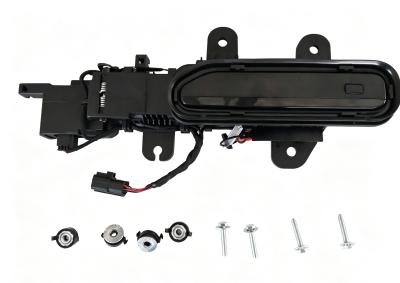 China BYD Formula Leopard 8 Left & Right Rear Exterior Door Handle Assembly (Rear Hidden Door Handle) for sale