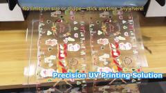 UV Printer