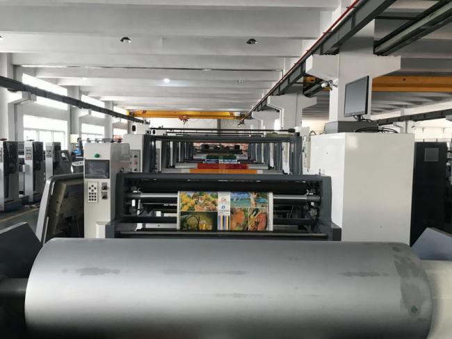 Art Paper / Chrome Paper Flexo Printing Press