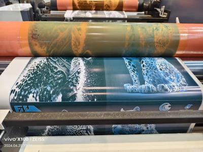 China Automatic Roll Paper Flexo Printing Machine for Hamburger Sandwich Fast Food Packaging Bag Paper for sale