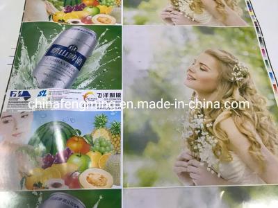 China FM-CS1320 Petal type paper bags printing machine  Servo motors Driving Flexo Printing Machine with Embossing Structure Rotary Letterpress for sale