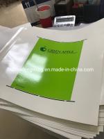 China High Versatility Automatic Flexo Printing Machine 1/8cp Gearing 1000mm Width for sale