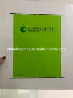 China High Versatility Automatic Flexo Printing Machine 1/8cp Gearing 1000mm Width for sale