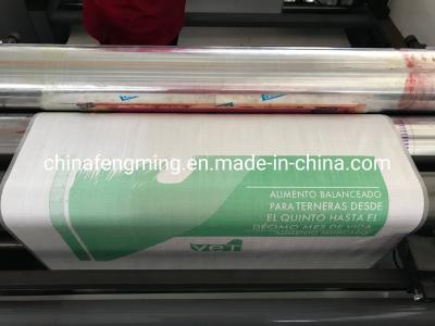 Chine 1524 mm 4 couleur Flexo machine d'impression non tissée personnalisée Énergie efficace à vendre