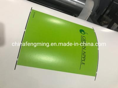 China Unit Type Structure Color BOPP Water Based Varnishing Flexo Machine for Customization for sale