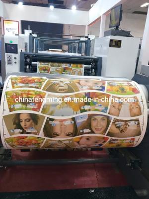 China Adjustable Paper Bag Flexo Printing Machine 4 Colors Flexographic Printing Machine for sale