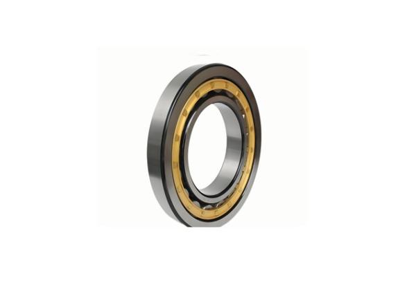 Quality NCF213V Excavator Bearing Full Complement Cylindrical Roller Bearing Single Row for sale