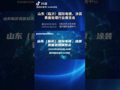 2025 The second Shandong (Linyi) International Electroplating, coating surface treatment industry exhibition