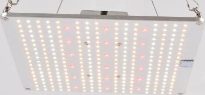 China 2.7umol, das UVled wachsen, beleuchtet 120W professionelles volles Spektrum lm301B Quantenbrett für Innengewächshausbeleuchtung führte zu verkaufen