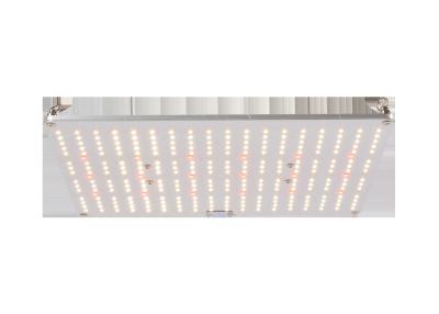 China Top Quality Driver QB288 100W Quantum Board Led Grow Lights for sale