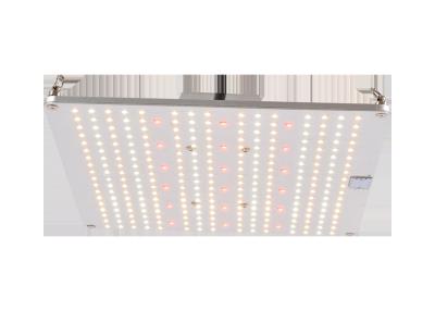 中国 ライトを育てるために導かれるETL AC100V 量子板 販売のため