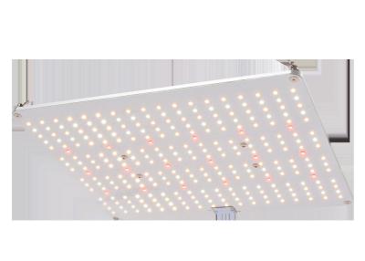 中国 660nm AC 277V完全なスペクトルLEDはライトを育てる 販売のため