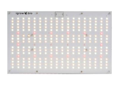 China Separate Hanger 120W AC85V UV LED Grow Lights Te koop