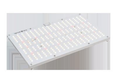 Cina Il bordo di IP65 AC85V Quantum ha condotto le luci progressive in vendita