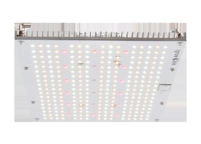 China O quantum alto de PPFD IP65 5000lm cresce luzes à venda