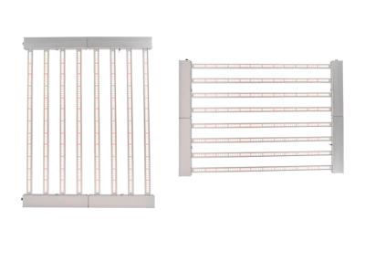 Cina Luci progressive della pianta di orticoltura 680W Samsung LM301B in vendita