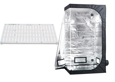 Cina Luci progressive variabili di colore 5000K AC85V Quantum in vendita