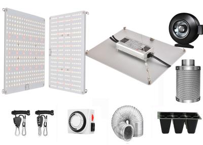 China 100W 288pcs Chips Quantum Board Grow Light Te koop