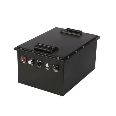 Cina 50ah 100ah 105ah 160ah Lithium Ion Batteries , LiFePO4 48V 100Ah Golf Cart Batteries in vendita