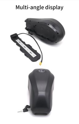 Cina Sea Dragon Series 18650 Lithium Battery , 36v Electric Bicycle Lithium Battery 48v in vendita