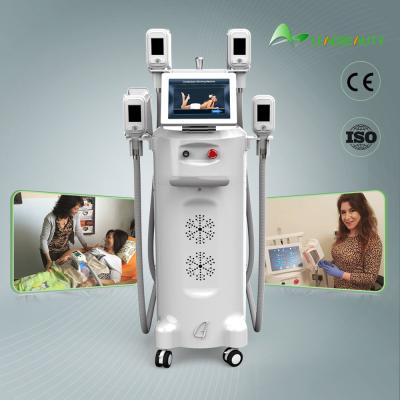 China Crolipolysis vertical fast stubborn fat removal cryo cryolipolise for sale