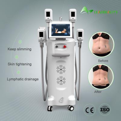 China 2018 Newest professional vertical crolipolysis weihgt loss machine for beauty salon for sale