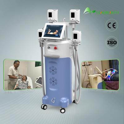 China Hot sale super body slimming machine to weight loss/ high quality cryolipolysis professional cryolipolysis machine for sale