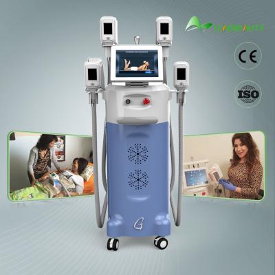 China Exhibition Presented Cryolipolysis Fat Freezing Liposuction Machine for sale