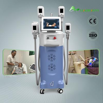 China 2018 latest Cryolipolysi Cool Shape machine Fat loss Cryolipolysis fat freezing machine germany for sale