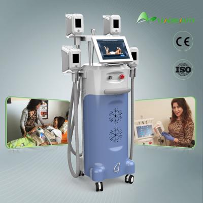 China Crolipolysis vertical fast fat removal cryo cryolipolise/cryolipolysis machine with CE certification for sale