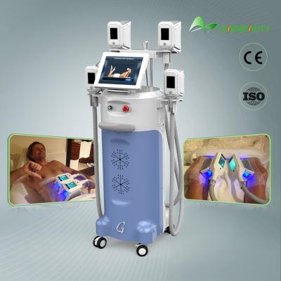 China Crolipolysis vertical fast fat removal cryo cryolipolise/cryolipolysis machine with CE certification for sale