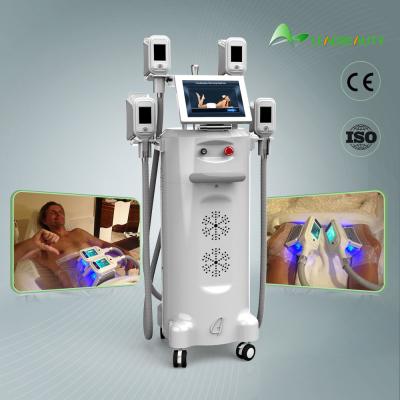 China Freezing cryolipolysis fat freeze body slimming machine for home use for sale
