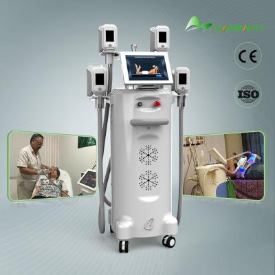 China High Performance equipos de medicina estetica cryolipolysis lipo freeze machine for sale