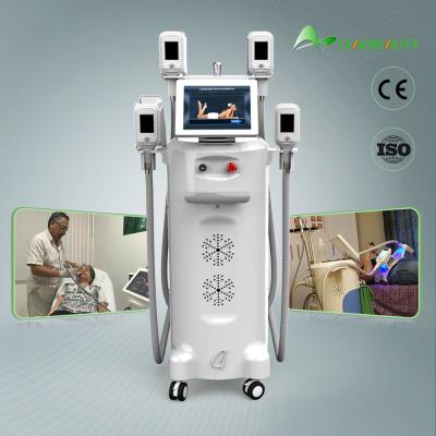 China Freezing cryolipolysis fat freeze body slimming machine for home use for sale