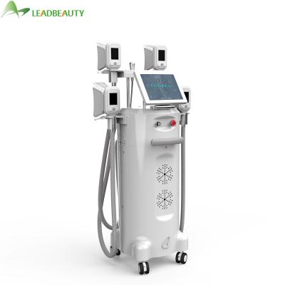 China professional cold lipolysis cryolipolysis body slimming machine for sale